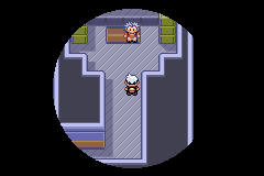 Chapter 2 - Dewford Gym