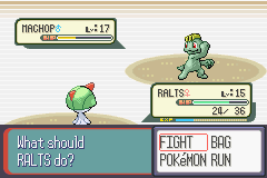 Chapter 2 - Dewford Gym